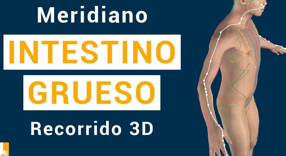 Test de Meridiano de InTestino Grueso