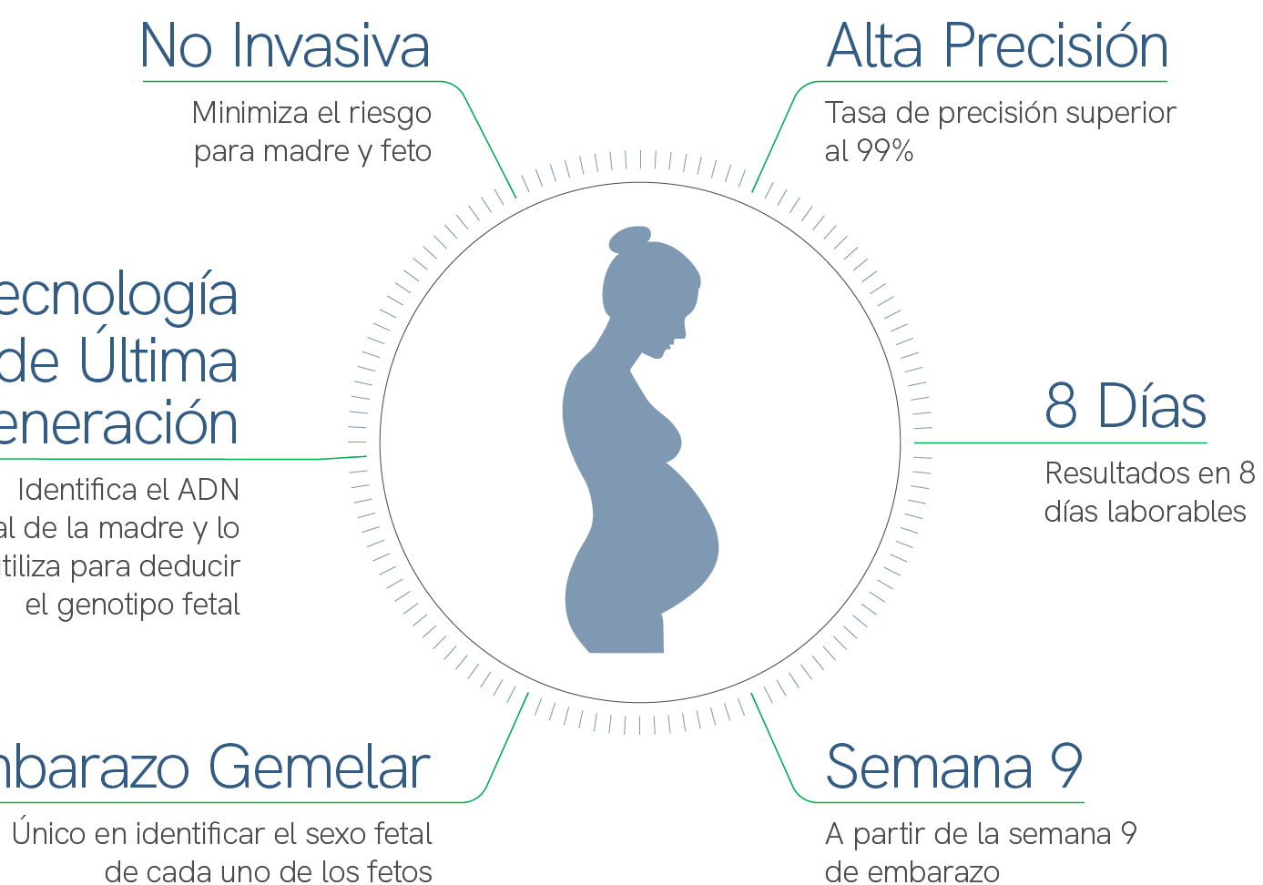 Test de Cribado Prenatal No Invasivo